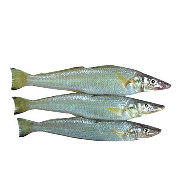 Buy Fresh Catch - BTM Fish - Kaane - Lady Fish 1 kg (Whole) Online at ...