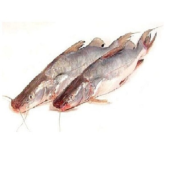 Buy New Poultry Centre Fish - Aar Fish Whole Without Head Online at ...
