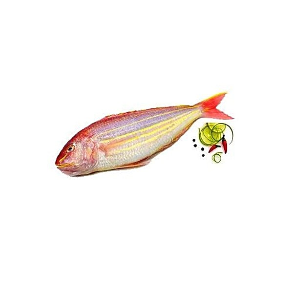 Buy Antony Fish Shop. Fish - Sankara Online at Best Price of Rs null ...