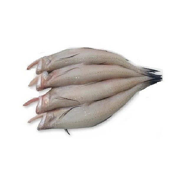 Buy Seavoods Fish Point Fish - Bombil / Bombay Duck Online at Best ...