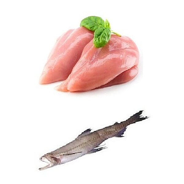 Buy Fresh n Fresh Combo - Chicken Boneless & Bombil Fish / Bombay Duck ...