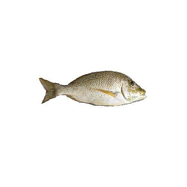 Buy Amma Fishstalll Fish - Vilai Meen / Emperor Online at Best Price of ...