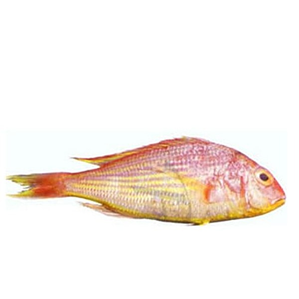 Buy Fish Land Fish - Sankara / Pink Perch / Rani 500 gm (Curry Cut ...