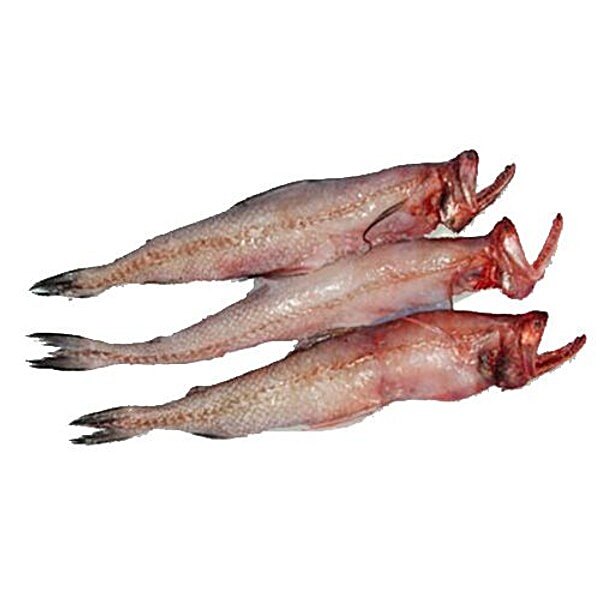 Buy Fresh Catch- Lokhandwala Fish - Bombil Online at Best Price of Rs ...