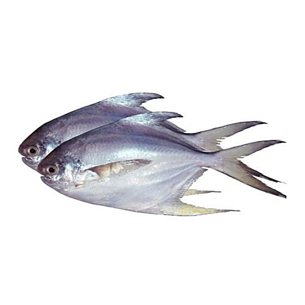 Buy Fish Fish - Rupchanda Online at Best Price of Rs null - bigbasket
