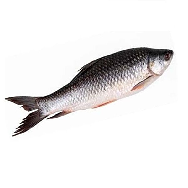Buy DAILY FRESH Fish - Rui / Rohu, Curry Cut Without Head & Tail Online ...