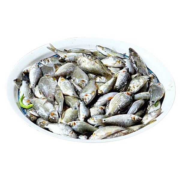 Buy Fish Special Fish - Desi Puti Online at Best Price of Rs null ...
