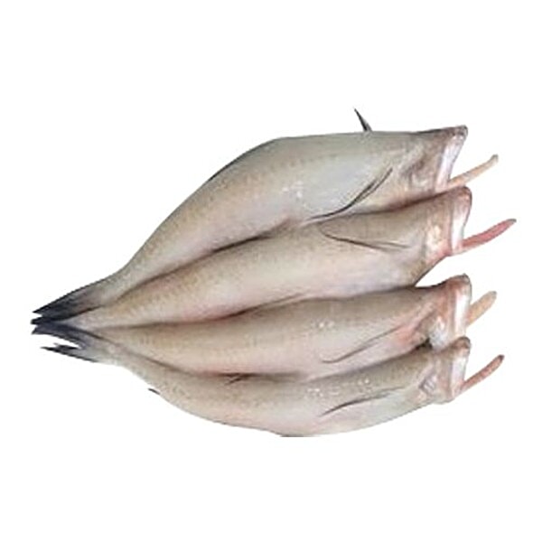 Buy R S Taru Fish Merchant Fish - Bombay Duck / Bombil Online at Best ...