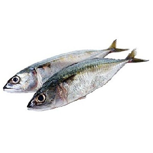 Buy Madras Market Fish - Indian Mackerel / Ayila Online at Best Price ...