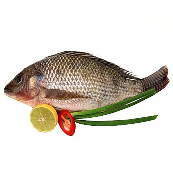 Buy Machli Ghar Fish - Tilapia / Telapia, Standard Size Online at Best ...