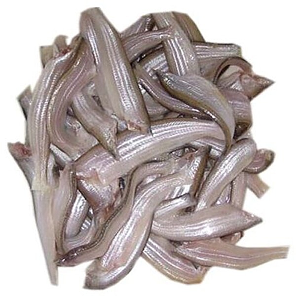 Buy Machli Ghar Fish - Kajoli Online at Best Price of Rs null - bigbasket