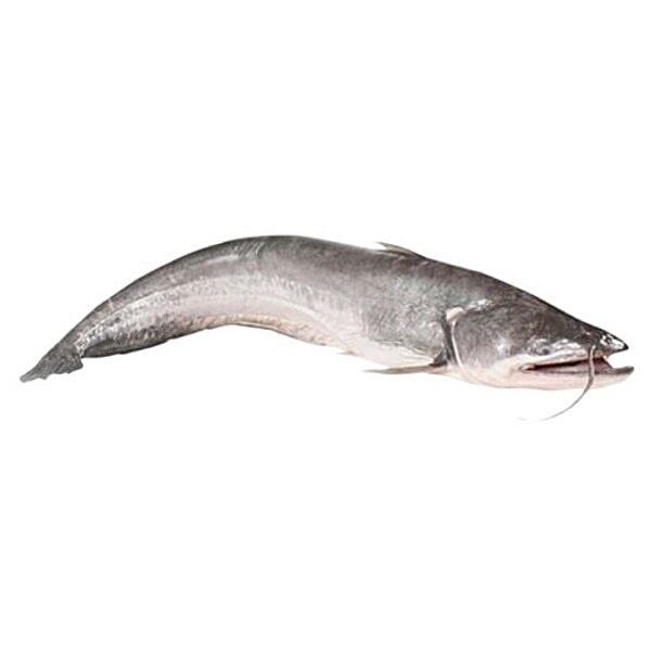 Buy AK Daily Bazaar Fish - Boal, Curry Pieces With Head & Tail Online ...