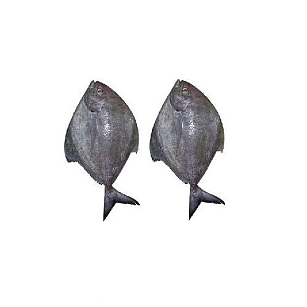 Buy Fish N Meat Fish Black Pomfret Karuppu Vaval Normal Cut 500 Gm ...
