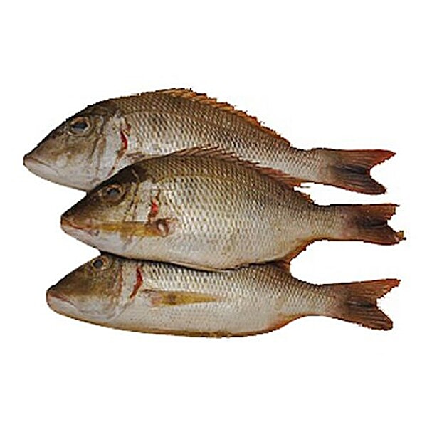 Buy Perche Enterprises Fish - Emperor, Vilai Meen Online at Best Price ...