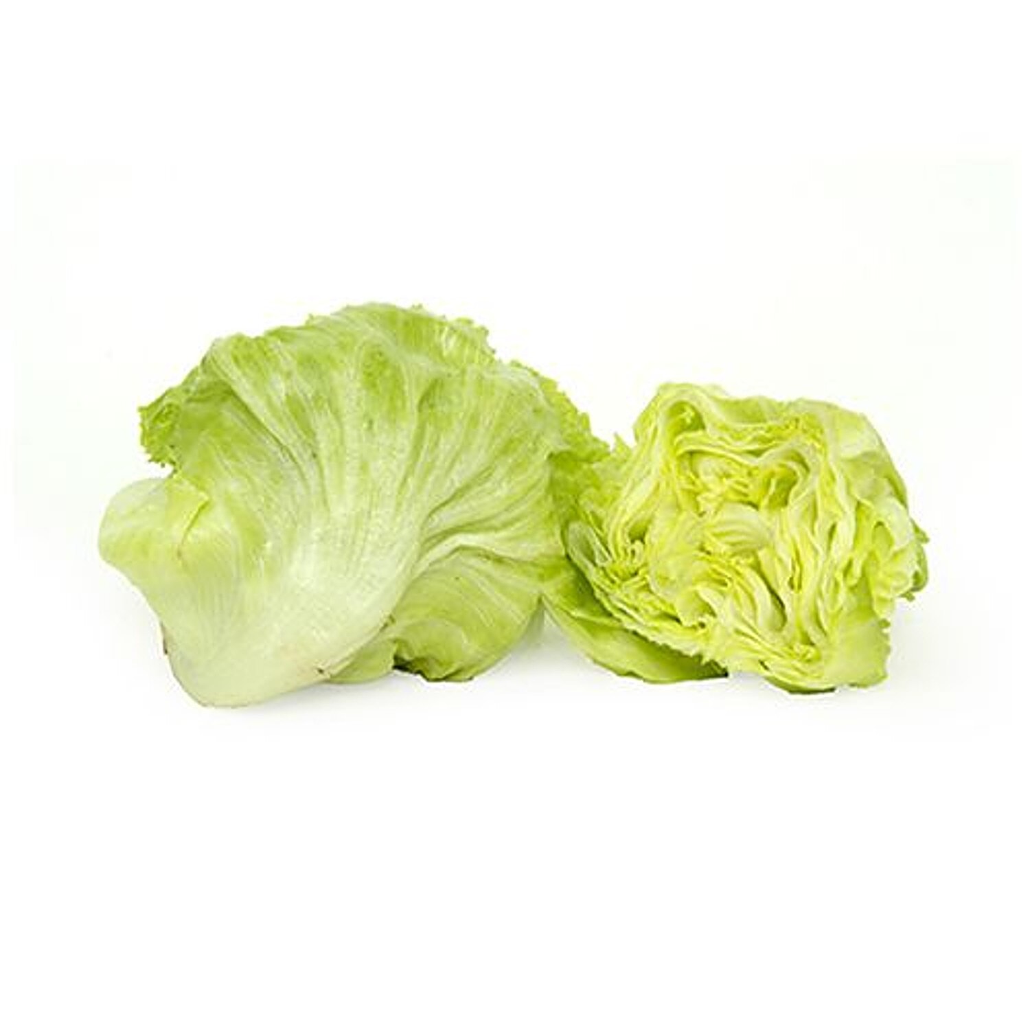 Iceberg Lettuce