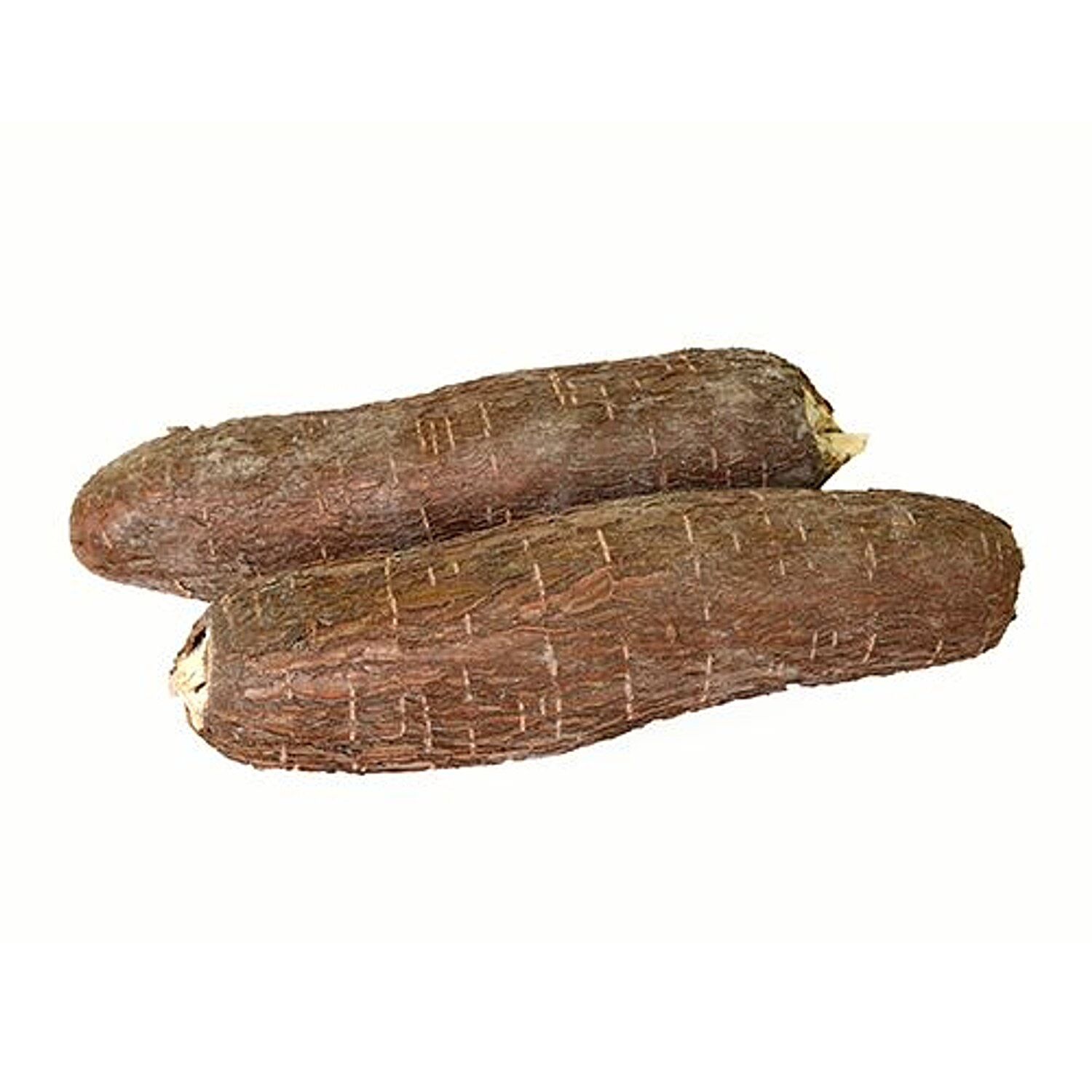 Tapioca Root