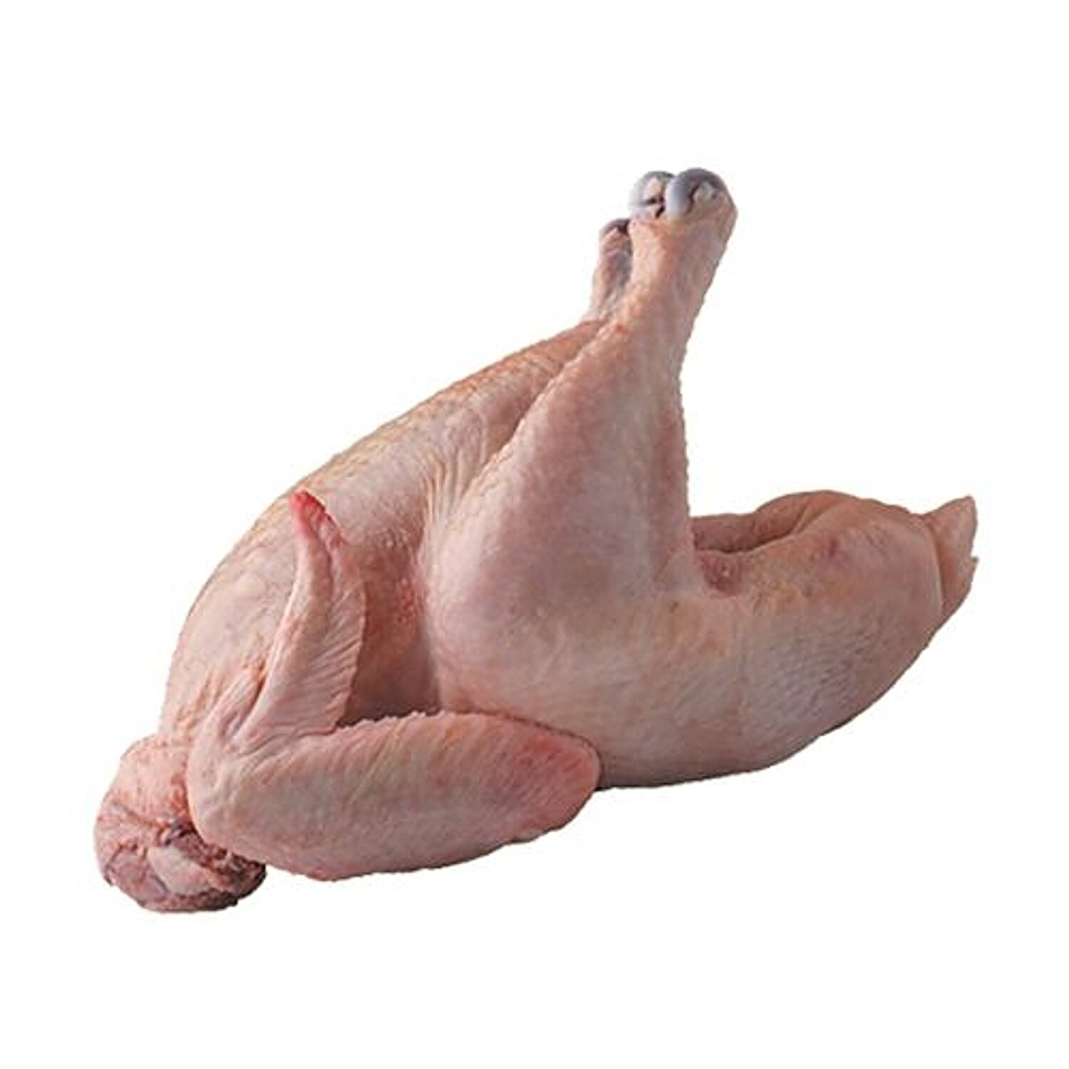 Suguna Chicken Products