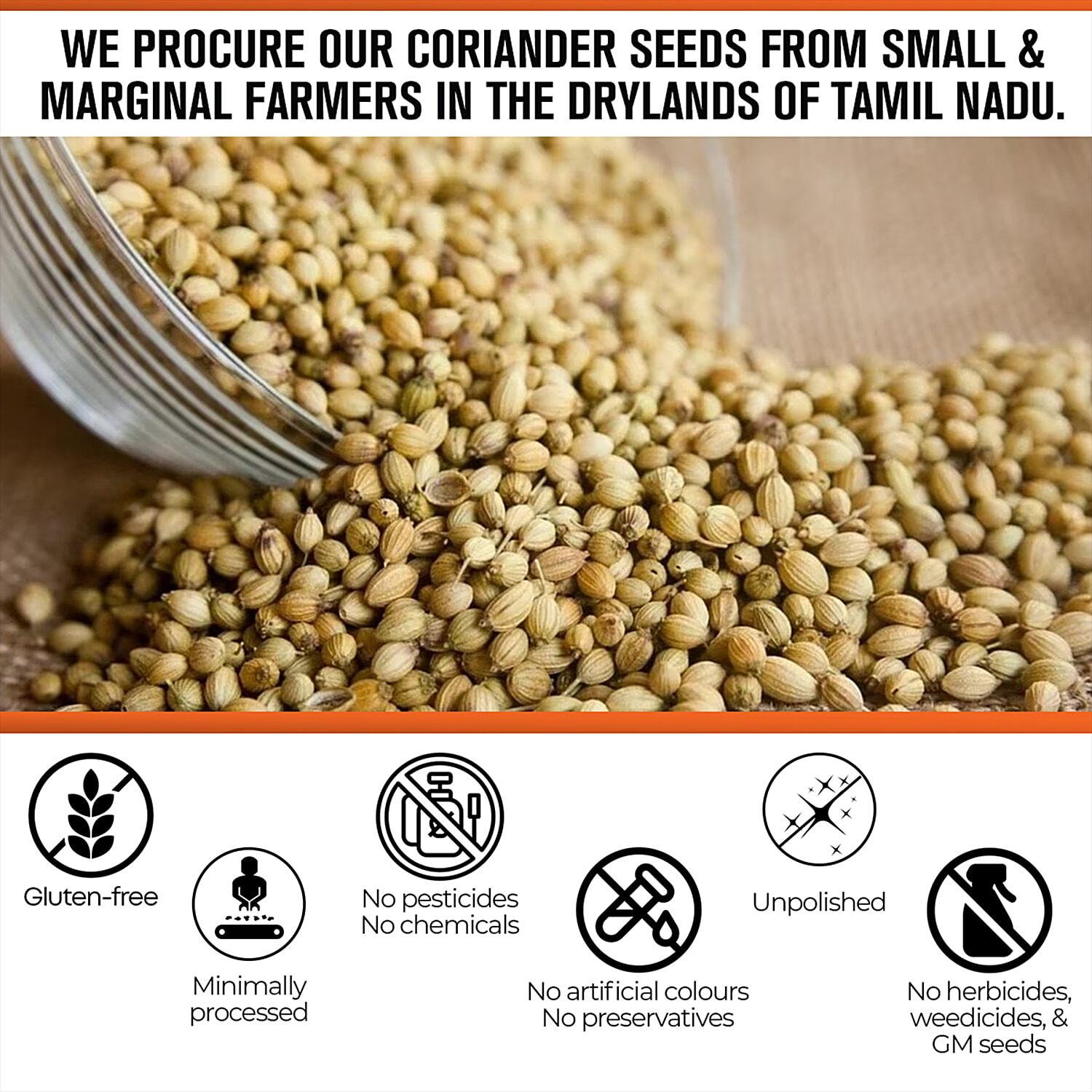 Coriander Seeds In Tamil