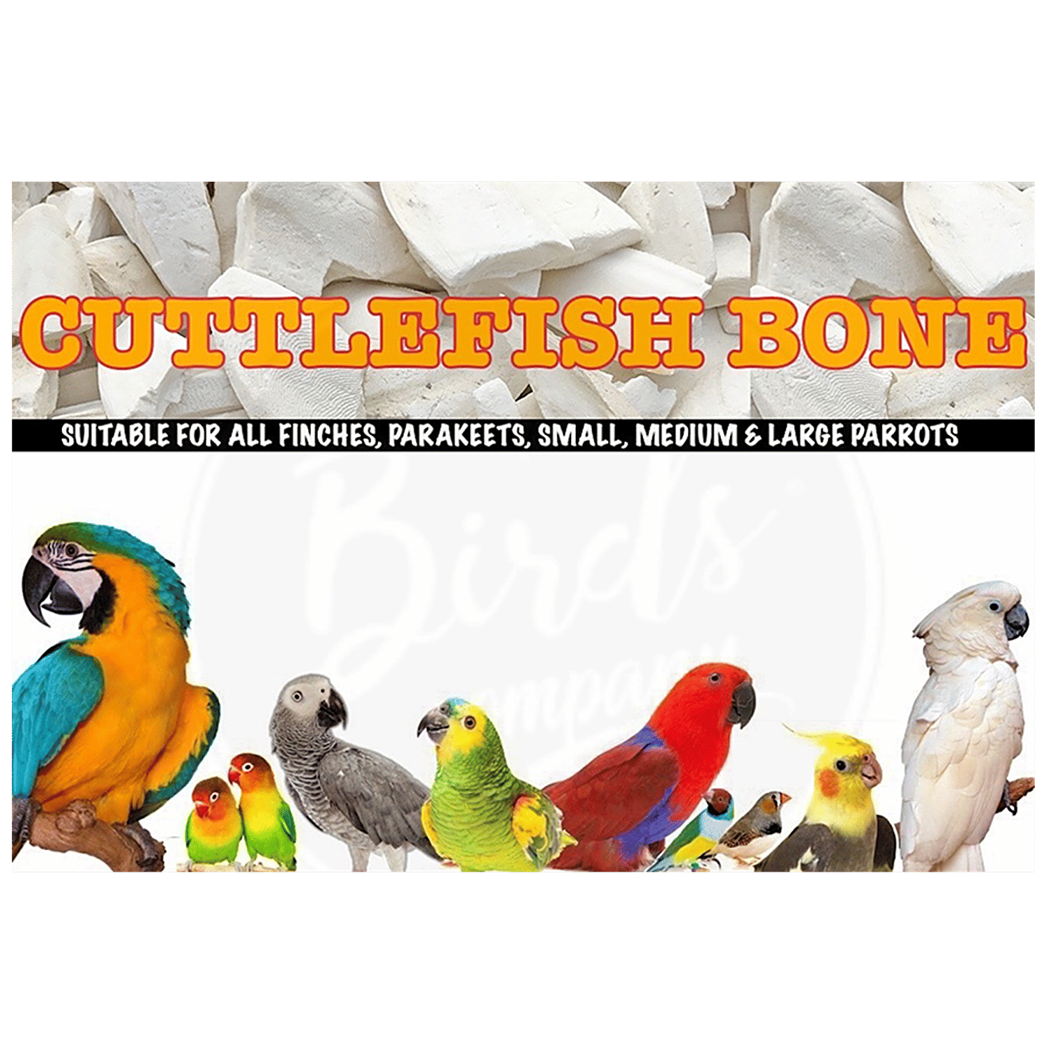 Cuttlefish Bone For Birds