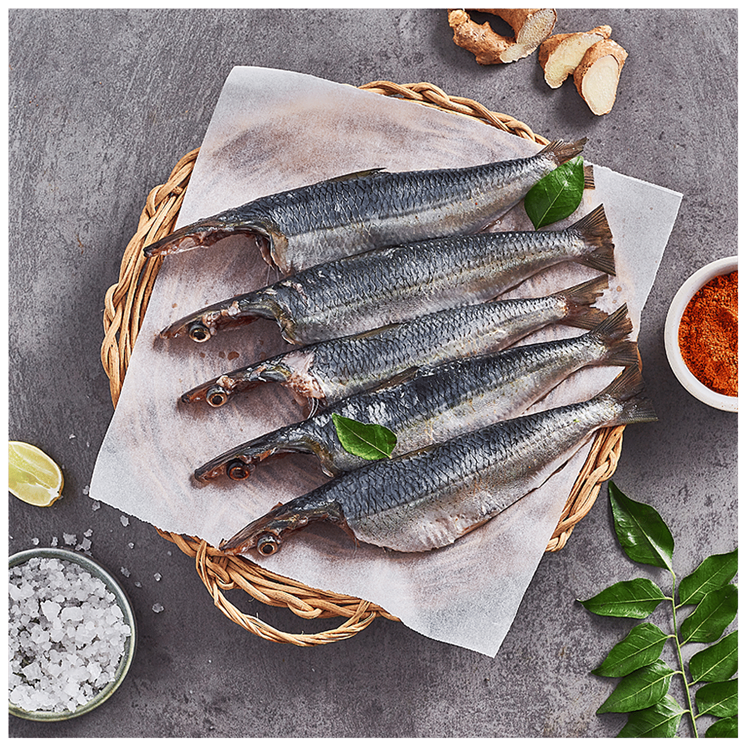 Sardine Fish Images