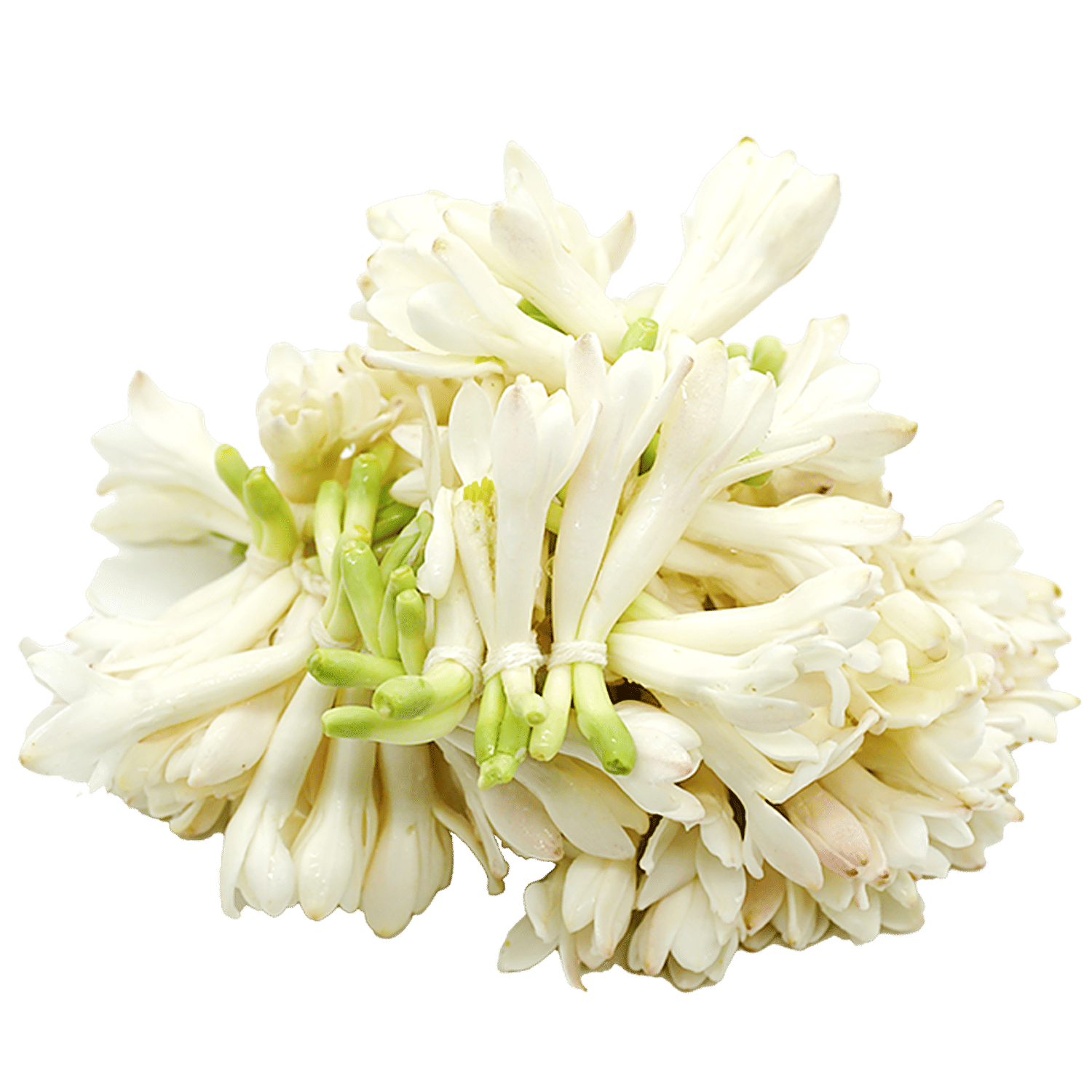 Rajnigandha Flower Mala | Best Flower Site