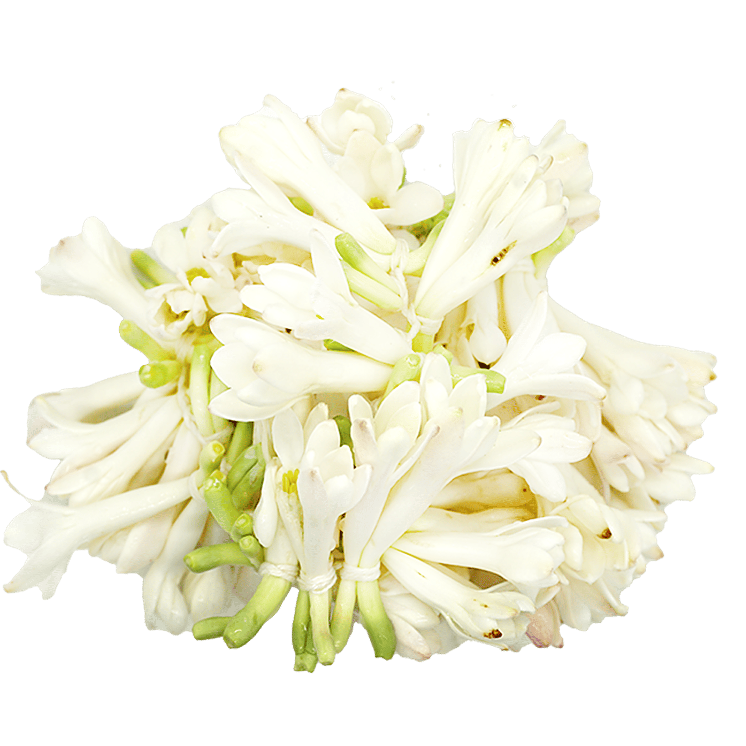 Rajnigandha Flower Mala Png | Best Flower Site