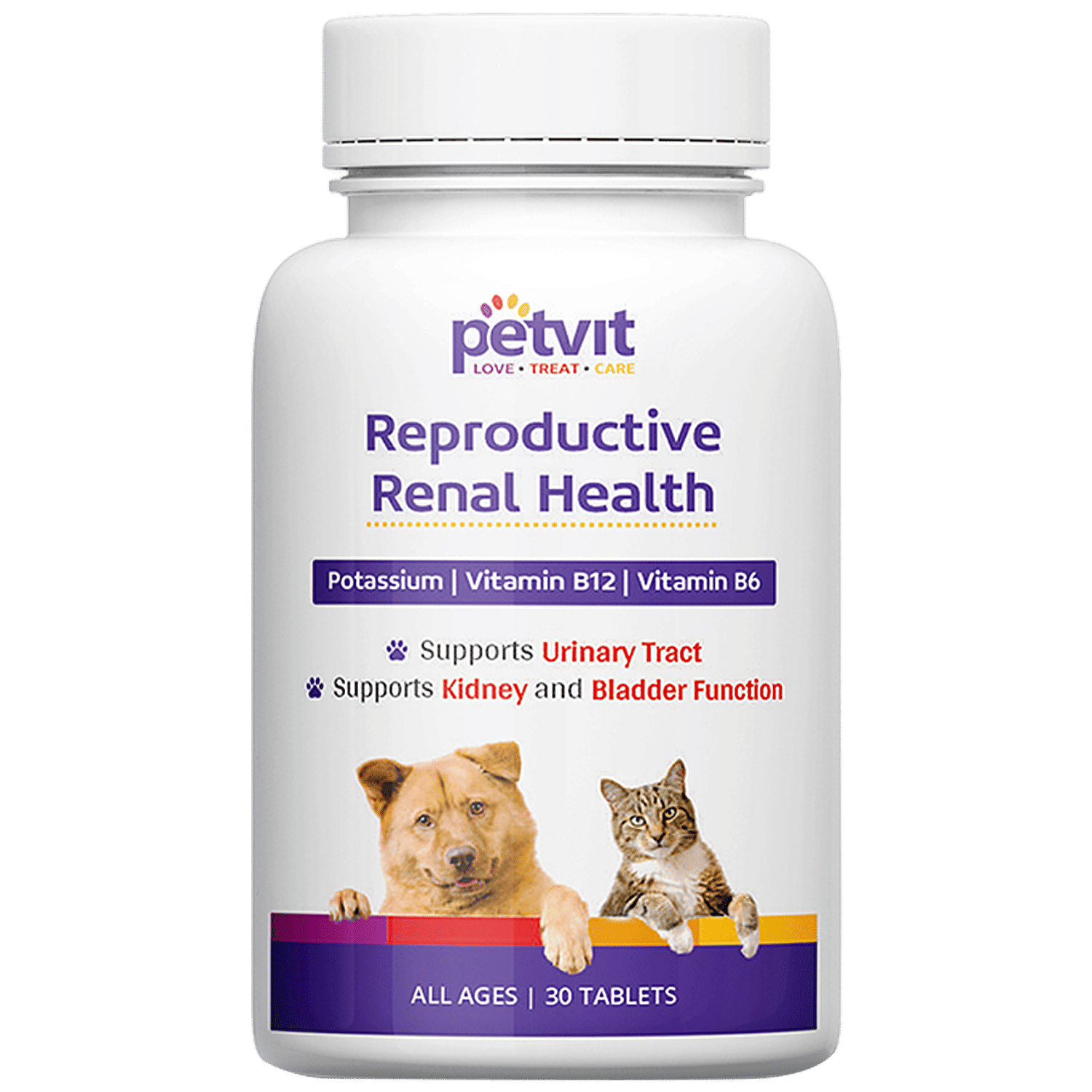 Can Dogs Take B12 Vitamins