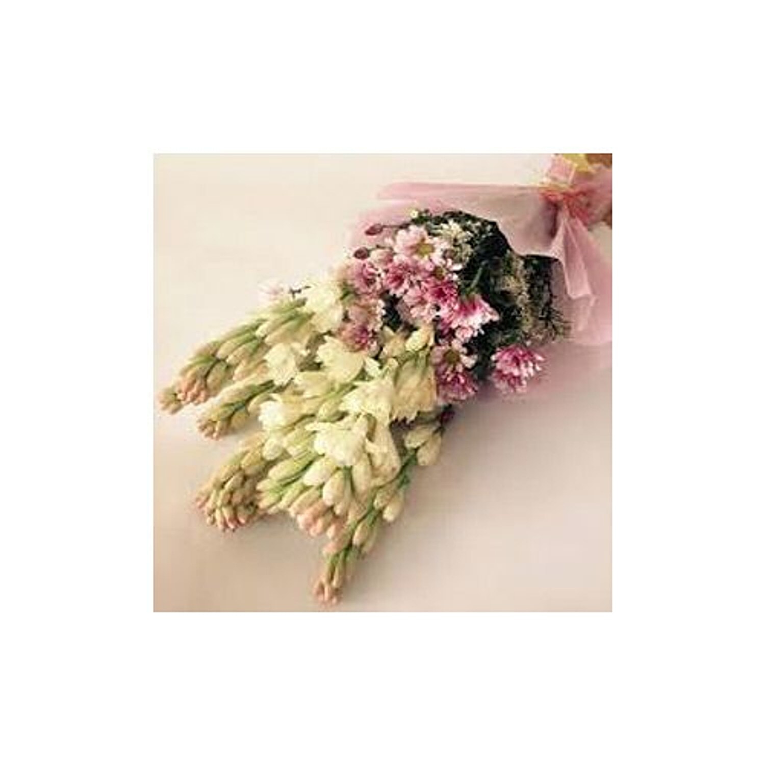 Rajnigandha Flower Images | Best Flower Site