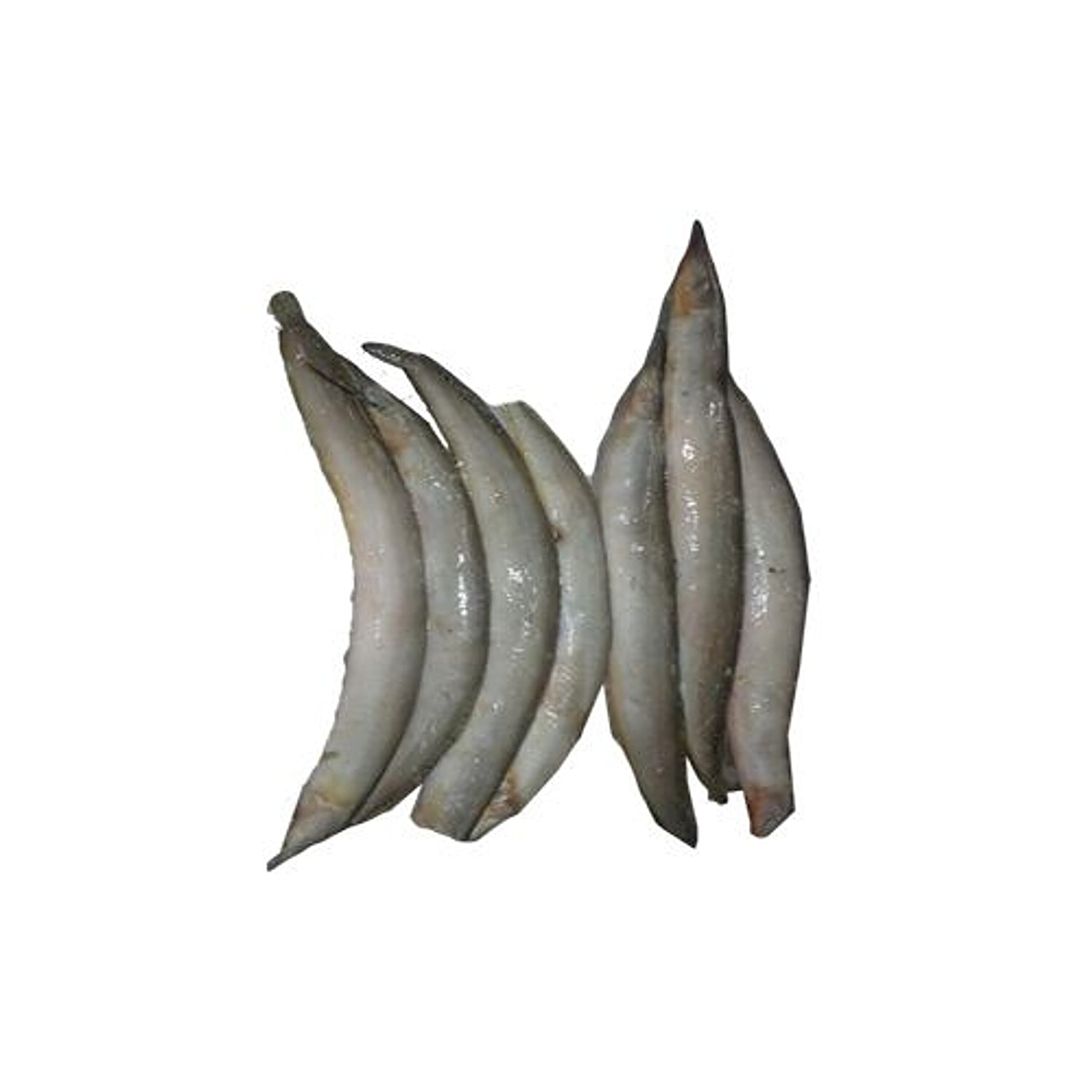 Bommidala Fish In English